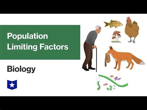 Limiting Factors In An Ecosystem Ppt Limits To Growth Powerpoint