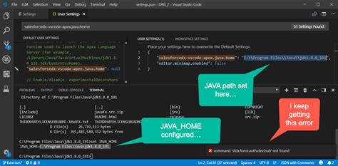 Command Sfdxforceauthdevhub Not Found Other Commands Fail Too · Issue 742 · Forcedotcom