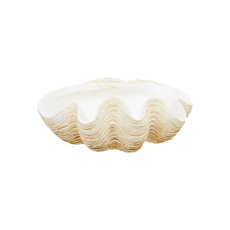 Large Clam Shell Bowl Stevensons Home