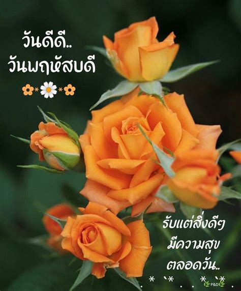วันพฤหัสบดี🌿🧡 วันพฤหัสบดี ฝันดีราตรีสวัสดิ์ สวัสดีตอนเช้า