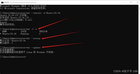 Win11 使用 Wsl2 安装 Linux 子系统 Ubuntu 出现错误：无法解析服务器的名称或地址适用于 Linux 的 Windows 子系统已安装。 无法解析服务器的名称或地址