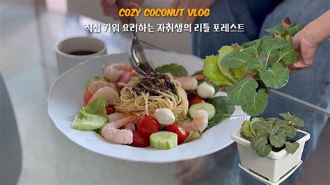 소박한 자취생의 리틀 포레스트 따라하기 직접 키운 야채로 샐러드 파스타 해먹고 봄동 비빔밥 케일 주스 맥주 안주 해먹기 간단 자취 요리 만들기 Youtube