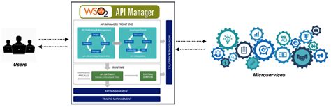 Article The Benefits Of Exposing Microservices In Wso2 Api Manager