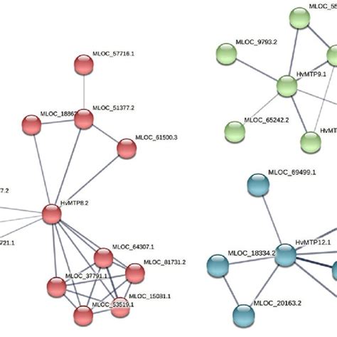 Hvmtp Protein Clustering Interaction Network Network Nodes Represent