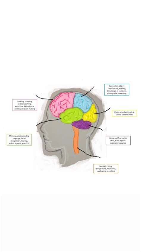 Cdi 340 Chapter 10 Diagram Quizlet