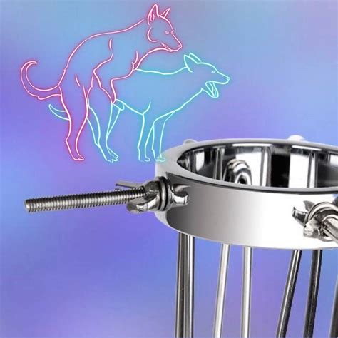 Anal Dilator Anal Spreader Anal Speculum Anal Stretching Metal Butt