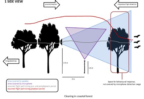 Schematic Representation Of The Experimental Set Up From Side View The
