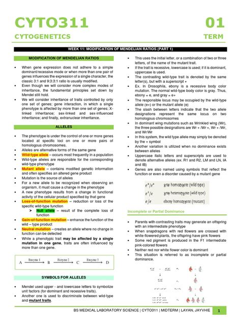 Modification Of Mendelian Ratios Part 1 Pdf Dominance Genetics