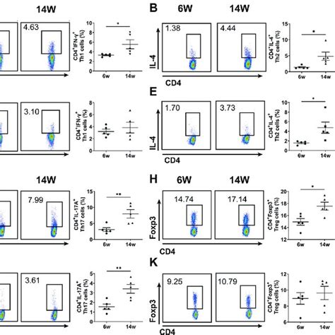 Th1 Th2 And Th17 Treg Were Imbalanced In Ss Like Nod Mice Cd4 Ifn γ Download Scientific