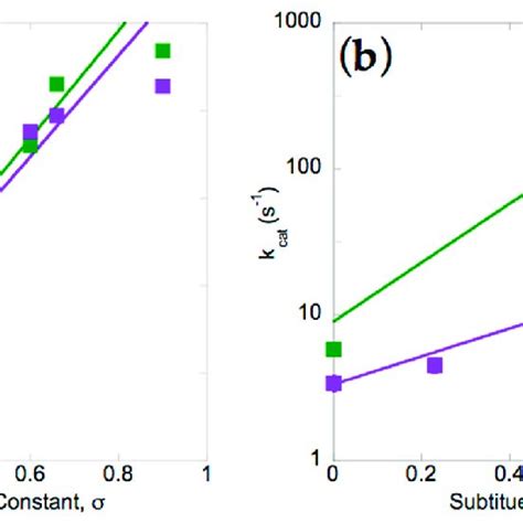Comparison Of The Different Substrate Binding Cavities And Their