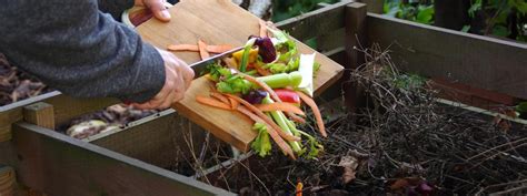 Soils Fertilizing And Composting Yard And Garden