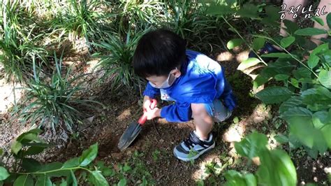 아빠와 아들ㅣ아들과 봉선화 심기 일상브이로그 Youtube