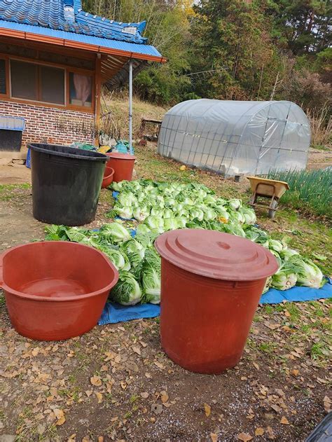 친정어머니의 절박한 요청~