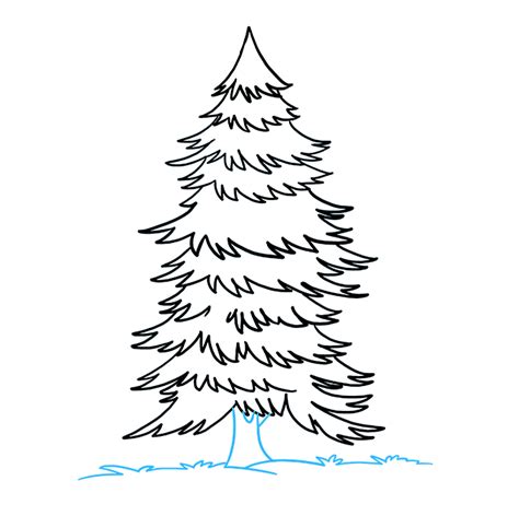 How To Draw A Spruce Tree Really Easy Drawing Tutorial