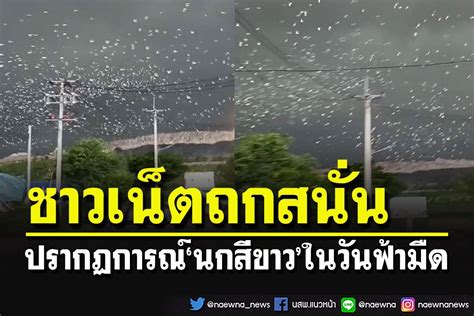 ข่าว Like สาระ ชาวเน็ตถกสนั่น แห่ดู 3 5 ล้านครั้ง ปรากฏการณ์ฝูงนกสีขาวบินว่อนในวันฟ้ามืดทะมึน