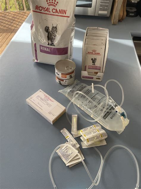 Frisky Le Rouge On Twitter Frisky Update Hes Home The First Thing He Did Was Eat I Have