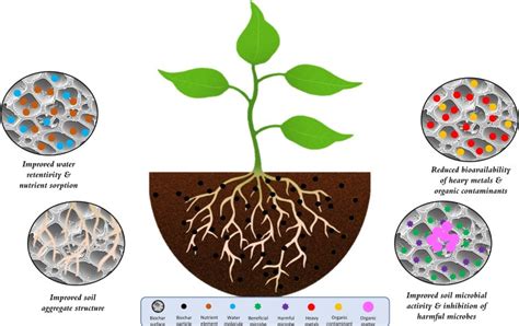 Biochar Nature Based Solution For Climate Challenges