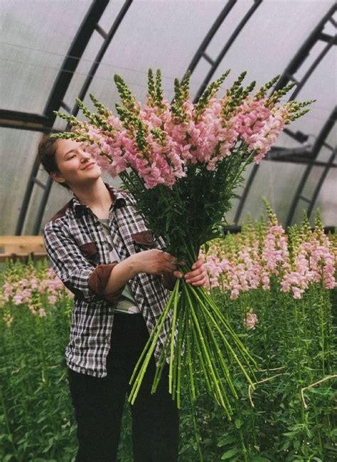How To Grow Snapdragon Flowers And Understand Their Meaning