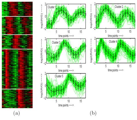 Yeast Cell Cycle Data Clustered Using Moga Svm Clustering Method A Download Scientific