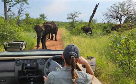 Ndzuti Bush Camp Safari Archives