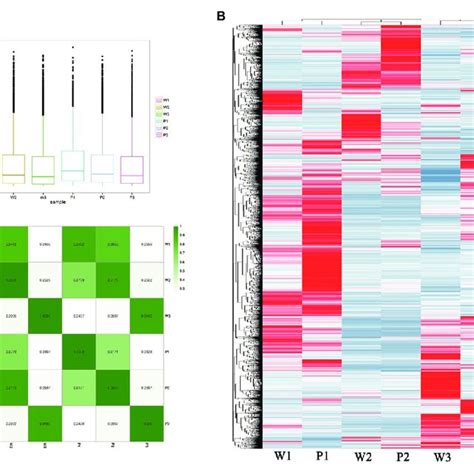 Transcriptome Dynamics During The Various Stages Of Flower