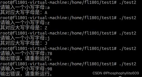 C语言基础编程示例：输入处理与转换 Csdn博客