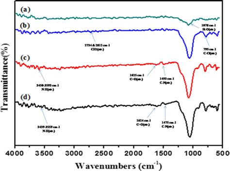 ft ir spectrum of sio2 a sio2 cl b sio2 dbu c and download