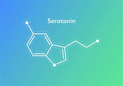 Vector Hormones Gradient Banner Template Minimalist Style Seratonin 5