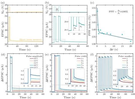 物理学院梁世军、缪峰团队首次实现莫尔突触晶体管 南京大学