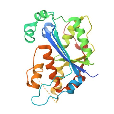 Rcsb Pdb 2o4i Structure Of Trex1 In Complex With Dna