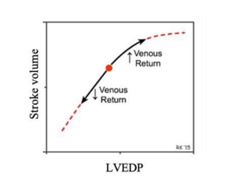 Low Cardiac Output Syndrome Flashcards Quizlet