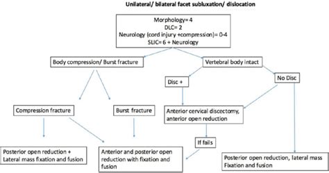 Subaxial Injury Classification Algorithm Slic For Bilateral Facet