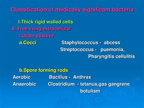 Ppt Bacterial Classification System Understanding Prokaryotes And