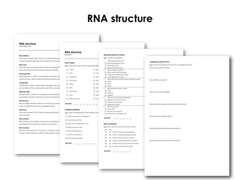Rna Structure Made By Teachers