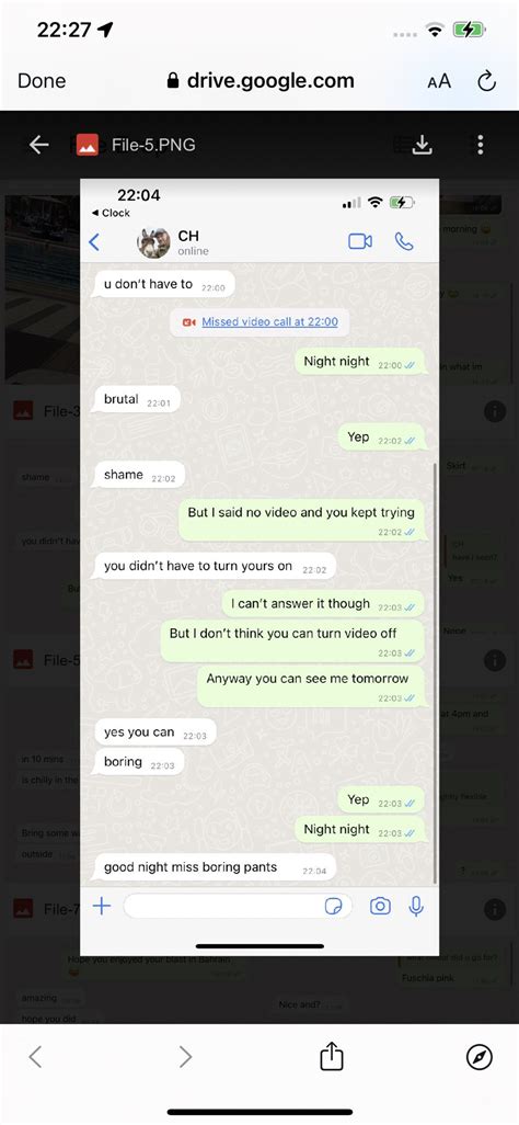 Christian Horner Leaked Messages