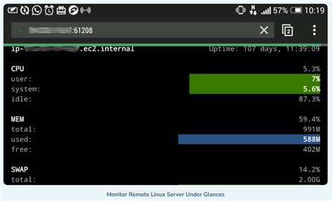 如何一目了然地监控远程 Linux 系统