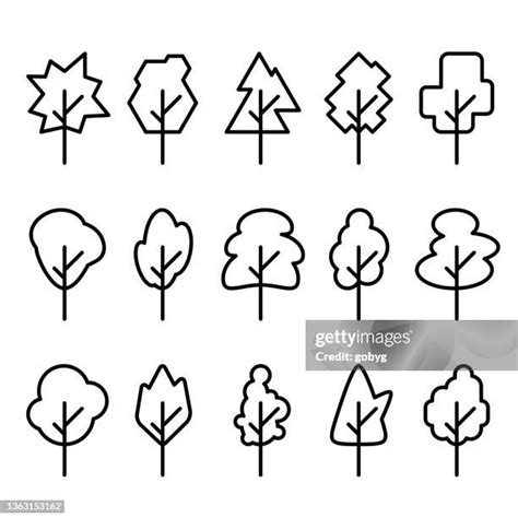 Tree Trunk Outline Photos And Premium High Res Pictures Getty Images