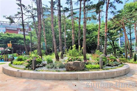 영등포구 휴식과 힐링 있는 도심 속 쉼터로 재탄생 선데이타임즈