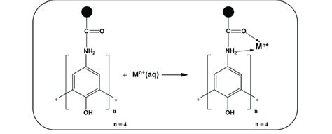 Schematic Representation Of Binding And Complexation Mode Of Modifier