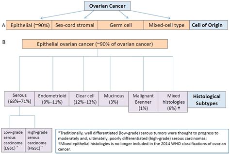 Ovarian Cancer Tumor Types Ob Gyn Ovarian Cancer Pearls Educational