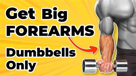 Get Superhero Like Arms With This Insane Dumbbell Forearms Workout Workout Guru