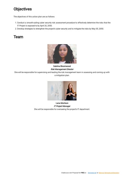 Security Risk Mitigation Plan Template Free PDF Template Net