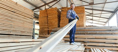 What Is Cls Timber Trade Timber