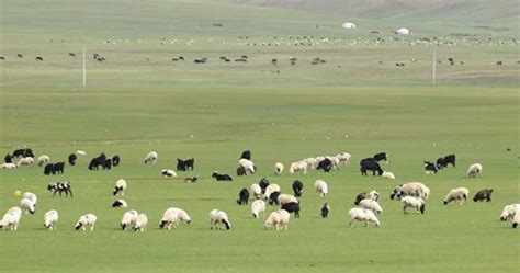 Vip76 Mn Малын генетик нөөцийн тухай хуулийн танилцуулга