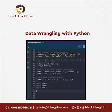 Black Iris Egitim On Linkedin Pythonsyntax Pythonprojects
