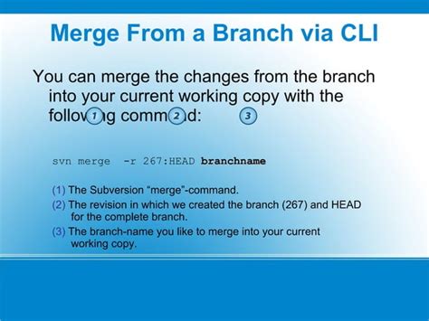 Svn Tool Information Best Practices Ppt