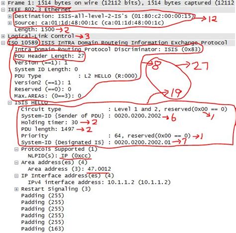 『无题』 Blog Archive Ccie Sp Isis 抓包分析邻接关系