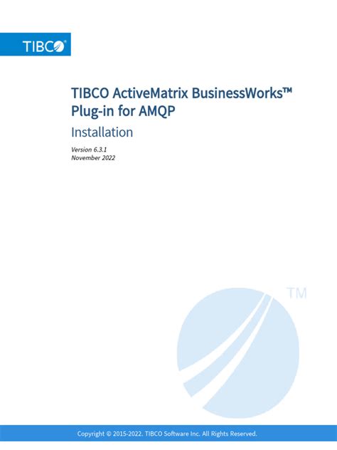 Tib Bwpluginamqp 631 Installation Pdf Installation Computer Programs Command Line