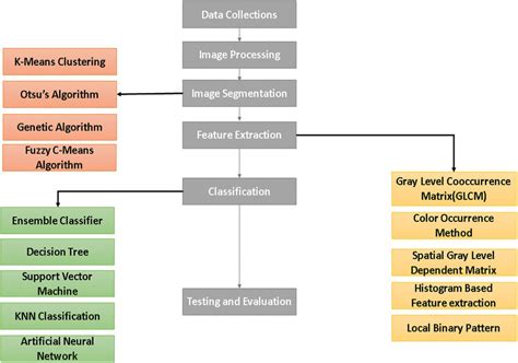 Machine Learning Algorithms In Leaf Diseases Classification Download